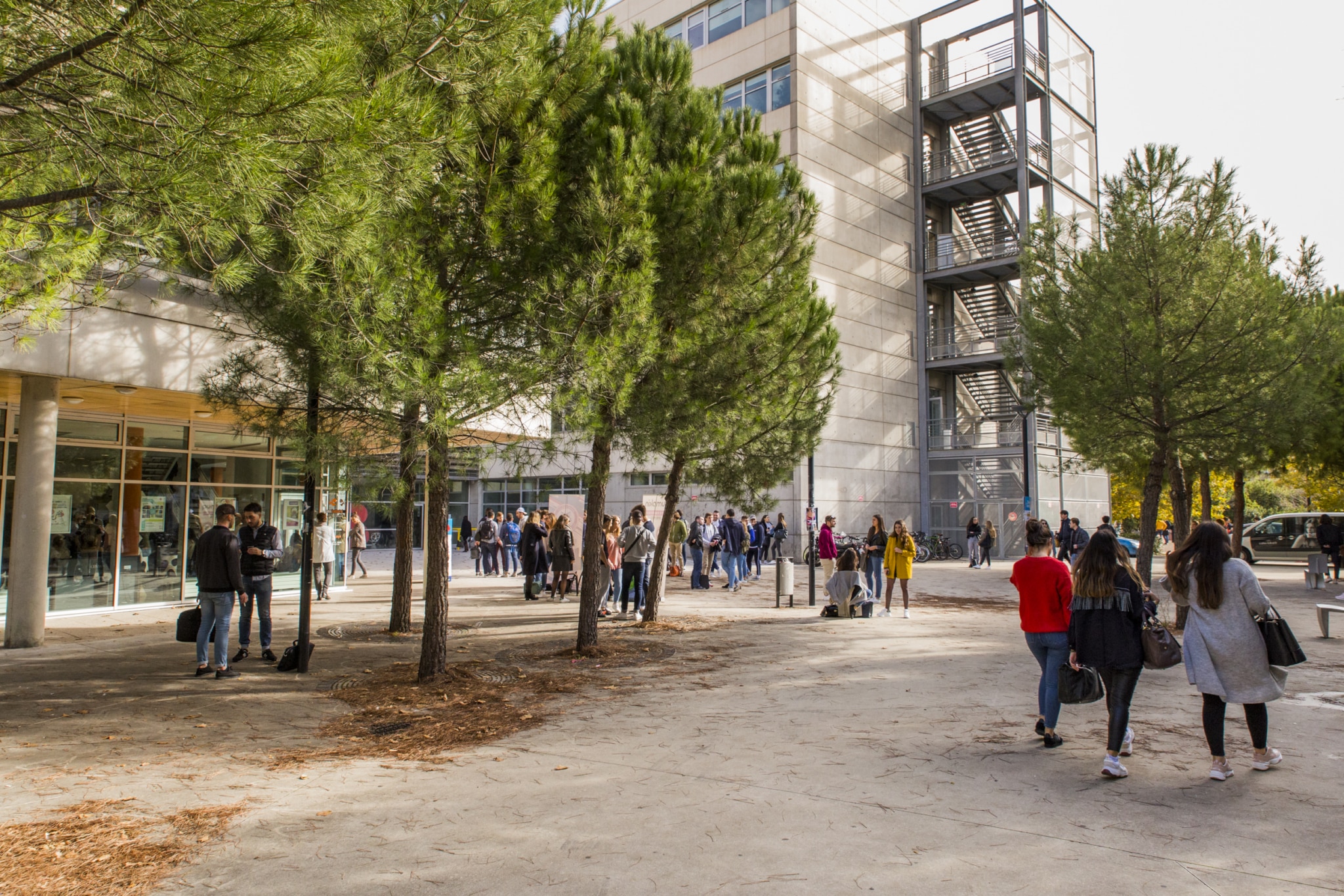 Découvrez Montpellier Management | MOMA