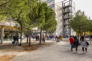 Découvrez Montpellier Management | MOMA